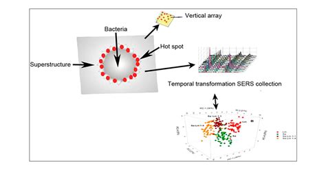 Core Shell Nanorod Columnar Array Combined With Gold Nanoplate