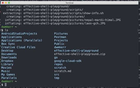 managing your files effective shell