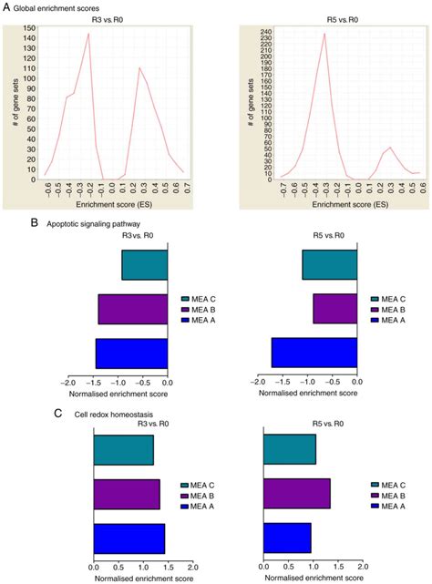 A Proteomic Analysis Of Chemoresistance Development Via Sequential