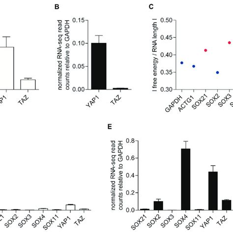 Detection Of Genes Using Transcriptome Analysis A Analysis Of The