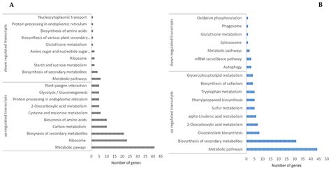Cimb Free Full Text De Novo Transcriptome Assembly Gene