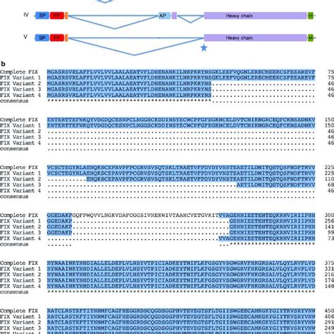 The Codon Usage Frequencies Of Under And Overrepresented Codons For