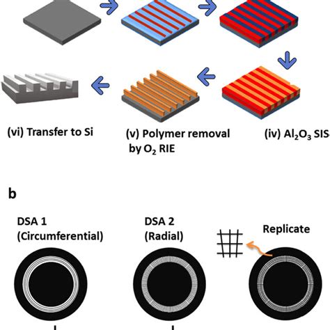 A Schematic Of The Directed Self Assembly Of Triblock Copolymer On