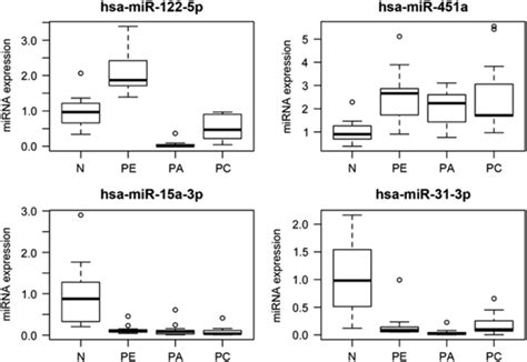 Box Plot Diagrams Of Relative Microrna Mirna Expression Levels In