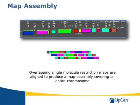 How Can Optical Mapping Accelerate My Research