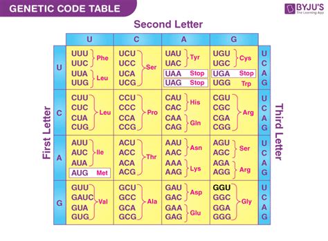 Dna Triplet Codon Table Awesome Home