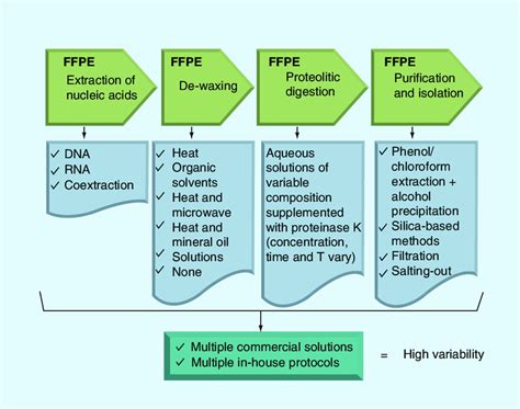 Possible Procedures Used To Extract Nucleic Acids From Formalin Fixed