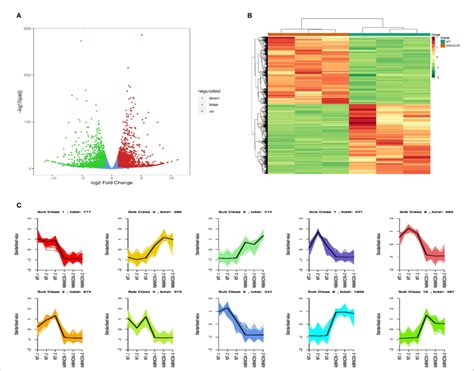 Screening And Classification Of Differentially Expressed Genes Between