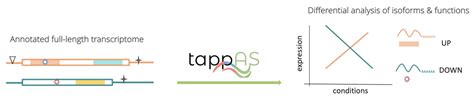 Tappas