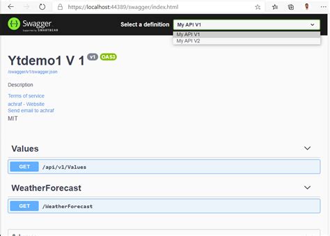 swagger and openapi and versioning for asp core achraf