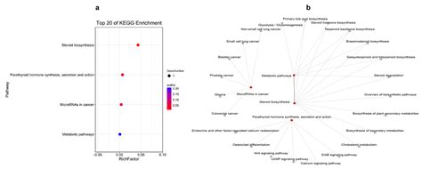 Ijms Free Full Text Comparative Transcriptomic Analyses Revealed