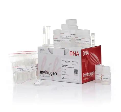 Invitrogen Purelink Rna Mini Kit