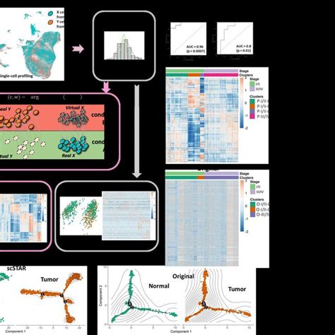 Scstar Schematic Diagram And Preliminary Evaluation On Scrna Seq Data