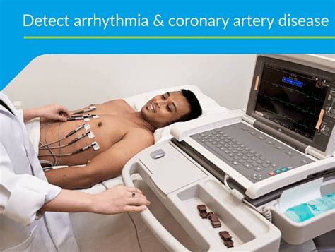 Understanding The 2d Echo Test A Non Invasive Imaging Technique For
