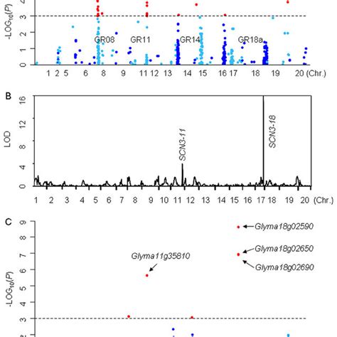 The Association Mapping Am Linkage Mapping Lm And Joint Am Lm