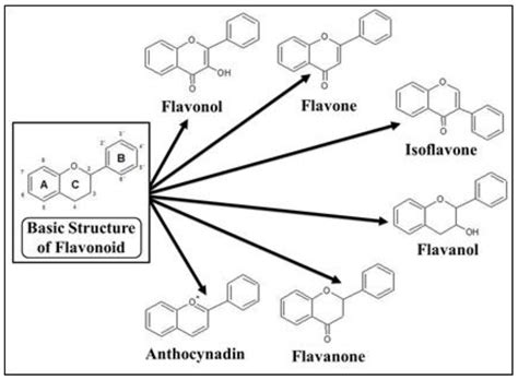 Processes Free Full Text Conventional And Emerging Extraction