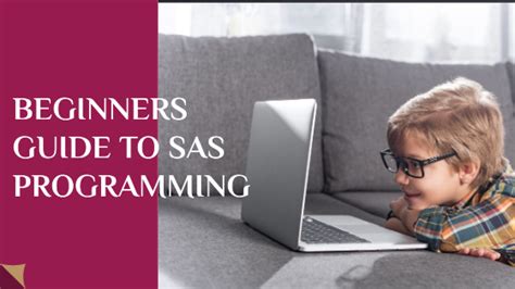 beginners guide to sas programming knowledge bull👀