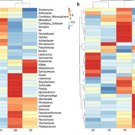 Heatmap And Hierarchical Cluster Analysis Of Bacteria A And Fungi B