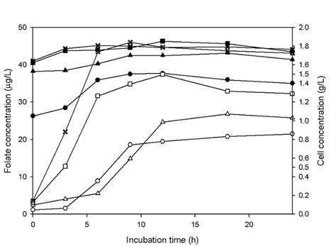 Effects Of Different Concentration Of Yeast Extract On Folate