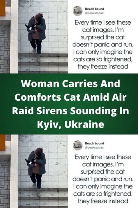 Woman Carries And Comforts Cat Amid Air Raid Sirens Sounding In Kyiv