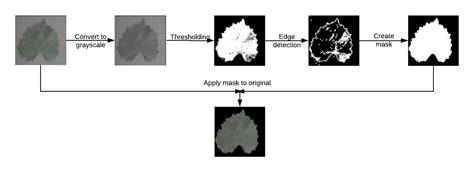 image segmentation with python siddhant sadangi better programming