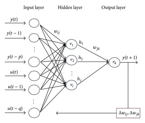 structure of back propagation neural network download scientific diagram