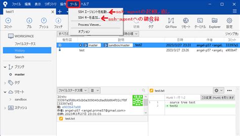 windows版sourcetreeでのssh接続情報整理 git qiita