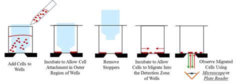 Oris Cell Migration Assay Platypus Technologies
