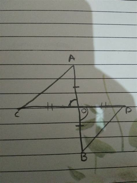 Two Line Segments Ab And Cd Intersect Each Other At O Such That Ao Ob