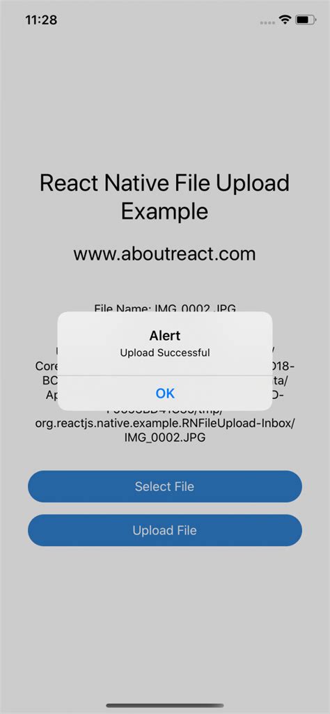 how to upload file image to server with form data in react native