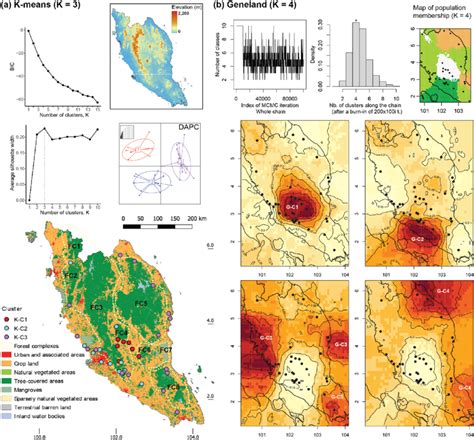 Genetic Clusters Of The Wild Malayan Tapirs Identified By Nine