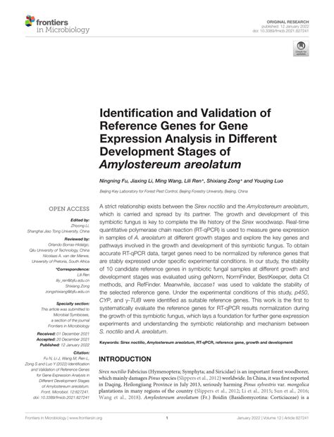 Pdf Identification And Validation Of Reference Genes For Gene