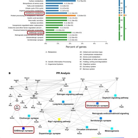 Kegg Pathway Enrichment And Ppi Analysis Of Deps In The Hypothalamus