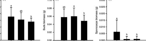 Analysis Of Variance Anova Of A Ramets Biomass F 5 76 P