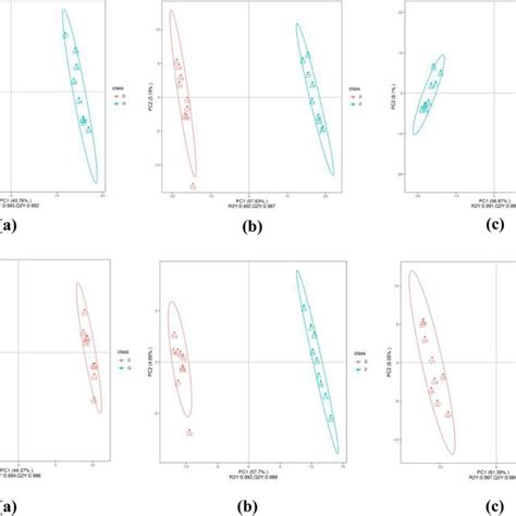 Cluster Analysis Of Differential Metabolites Clustering Heat Map Of