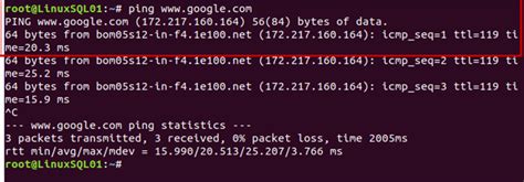 how to install ubuntu 18 04 and sql server 2019 on linux {coding}sight