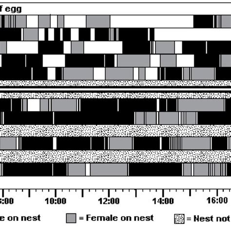 pdf incubation behavior of the peruvian antpitta grallaricula peruviana
