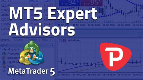 how to use expert advisor metatrader 5 youtube