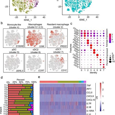 Identification Of Macrophage Heterogeneity A T Sne Projection Of 5408