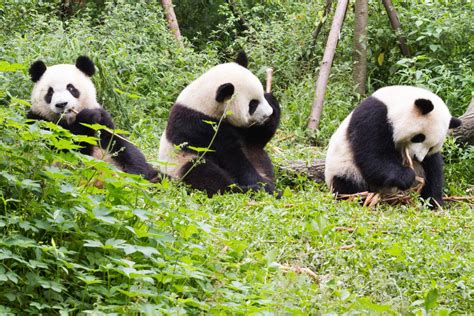 calculate monthly returns…with pandas quantdare