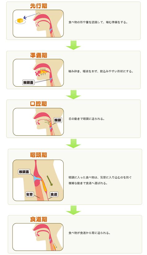 日本メディカルニュートリション協議会 摂食・嚥下障害website