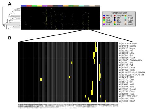 Proliferation Signature In Transcription Factor Binding Chip Seq Data