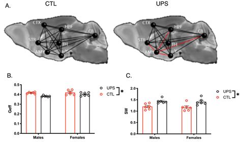 Effects Of Ups And Sex On Global Connectivity A Schematic