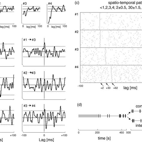 Case 2 Spatiotemporal Firing Pattern 5 5 5 5 27 ± 3 99 ± 3 127 ±
