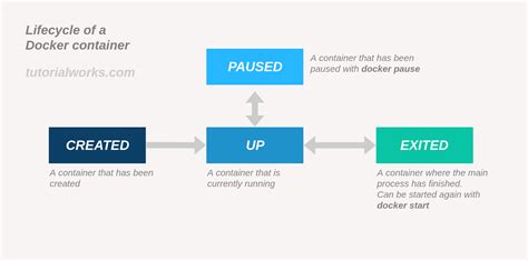why did my docker container stop tutorial works