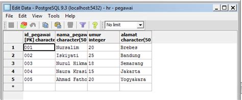 Insert Data Di Table Pada Postgressql Tutorial Dasar Pemrograman