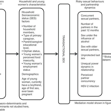 Flowchart For Final Sample Size In Analysis Between Transactional Sex