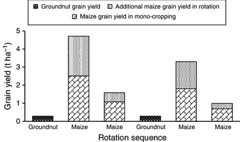Grain Yields Of Groundnut And Maize In Two Cycles Of A Download