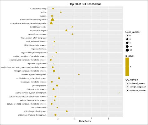 Go Enrichment Histogram For Predicted Lncrna Cis Target Genes Go